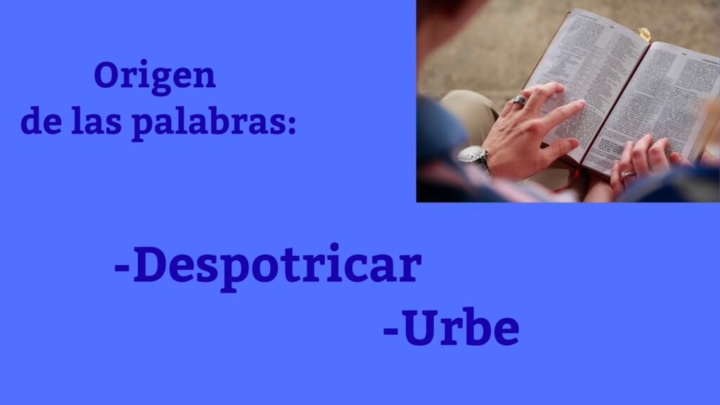 El Reportivo